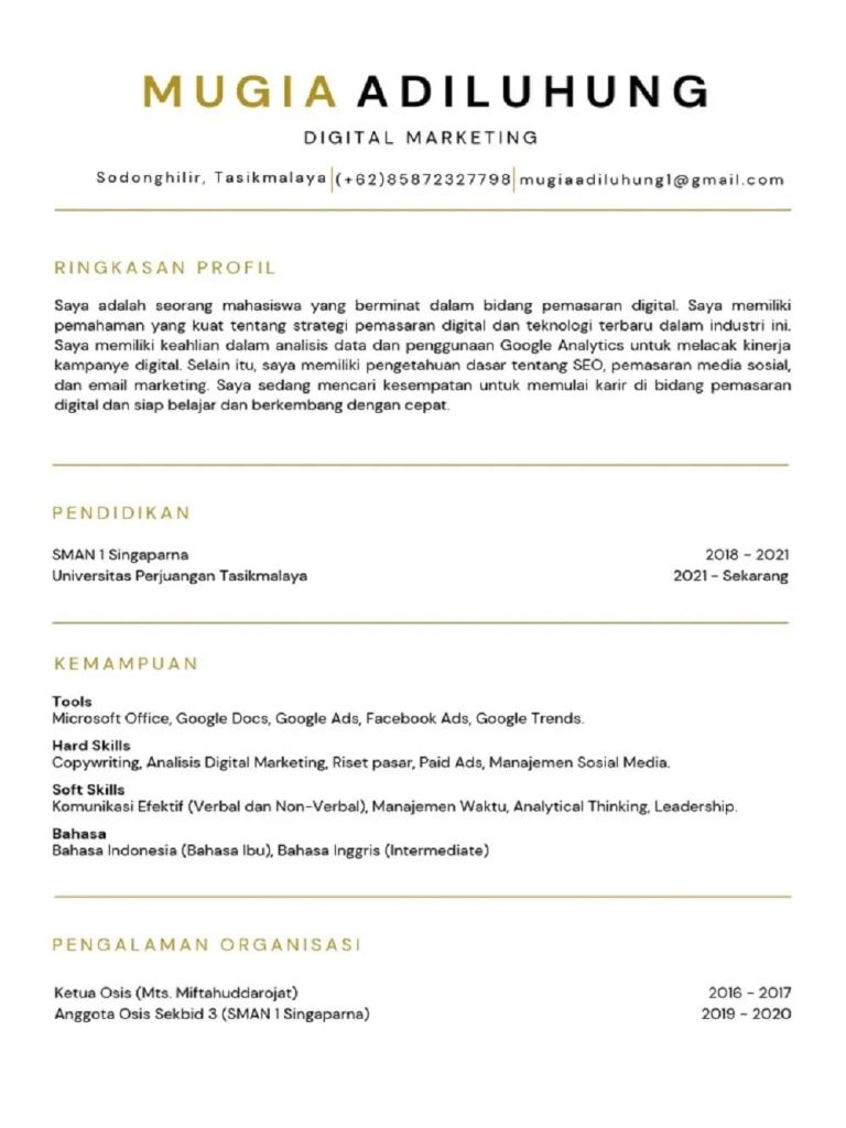 10 Contoh CV Digital Marketing Terbaik dan Templatenya