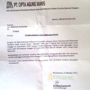 7 Contoh Surat PHK Karyawan dan Templatenya